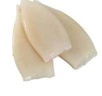 Squid tube – Japanese Foodstuff / Food Product Supplier in UAE – Kami ...